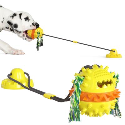 China Slow Feeder Interactive Pet Toys Water Floating Dog Teeth Brushing Toy for sale