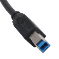 China Male To Male / Female USB 3.0 B Cable Black For Printer Equipment for sale