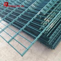 China High Quality Hot Sales Powder Coated Double Welded Wire Mesh Farm Fence for sale