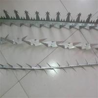China Easy To Install long Service Life Powder Coating Medium Size Anti Climb 2mm Wall Security Wall Spike For Fence for sale