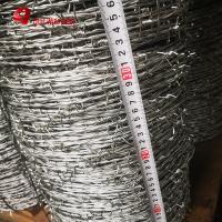 China Hot Dipped Galvanized Razor Barbed Wire Fence Barbed Iron Wire Mesh for sale