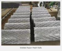 China Razor Barbed Wire Welded Wire Mesh Fence/Welded Razor Wire Mesh for sale