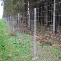 China Hot Galvanized Cheap Hog Wire Farm Fence Prairie Field Fence Netting Cattle Fence on Farm for Sale for sale