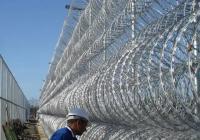 China Galvanized PVC Coated Stainless Steel Bto-22 Cbt-60 Cbt-65 Concertina Razor Barbed Wire for sale