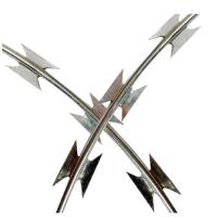 China Cheap Price Concertina Hot Dipped Galvanized Diamond Welded Decorative Razor Barbed Wire Mesh for sale