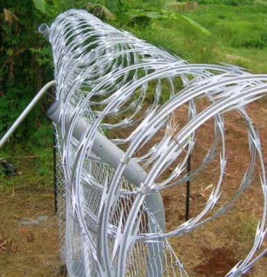 China Hot Dipped Galvanized Protect Defense Razor Barbed Wire Welded Wire Mesh for Farm for sale