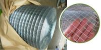 China Cheap Chain Link Fence Galvanized Welded Iron Wire Fence Mesh for Bird Cage/Rabbit Cage/Animal Cage for sale