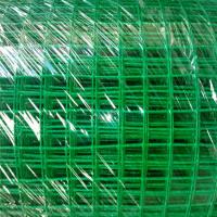 China 1/2 Inch galvanized welded wire mesh rolls for cages for sale