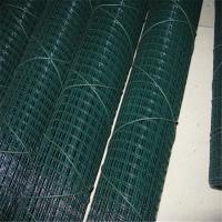China 1/2 Inch galvanized welded wire mesh rolls for cages for sale