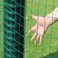 China 1/2 Inch galvanized welded wire mesh rolls for cages for sale