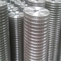 China 8 gauge galvanized welded Iron wire mesh 304 stainless steel welded wire mesh panels for sale