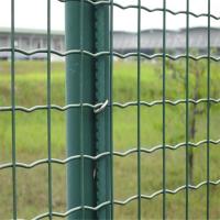 China Farm Green Color PVC Coated 50x50mm mesh opening Euro Holland Welded Wire Mesh fence for Chile for sale