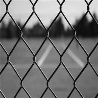 China PVC Powder Coated Chain Link Fence Hardware Accessories/ Fittings/ Parts Accessories Low Carbon Steel Wire Iron Metal Green for sale