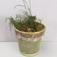 China Perforated Garbage Plastic Trash Bag for Kitchen Trash Cans 2022 Green or as Request for sale