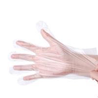 China Hongcheng HDPE Transparent Disposable Gloves 100pcs per Bag 20-200 Micron Thickness for sale
