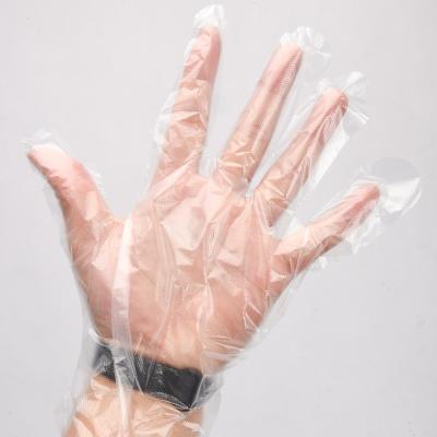 China HDPE Clear Disposable Food Gloves 20 Micron Thickness Leak Free Cleaning Vinyl Glove for sale