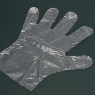 China HDPE Transparent Food Safe Plastic Gloves 20 Micron Thickness 100pcs per Bag for Food Handling and Cleaning for sale
