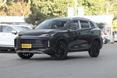China Customized Request 2023 Exeed 300t 2WD Exeed with Closed Body Type and Customization for sale