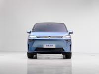 China Dongfeng Venucia VX6 2023 520 Max Electric SUV 5 Seats 160kW 62kWh LFP Battery for sale