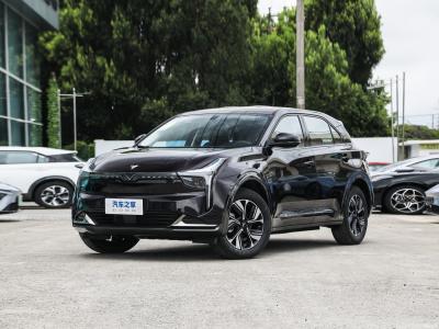 China Neta U-II 2023 Challenge 400 Electric SUV 401km Range LFP Battery 120kW for sale