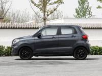 China Leap T03 403 Zhixiang Electric Microcar 4 Seats 3620mm LFP Battery 41.3kWh for sale