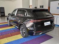 China 2.0td Power Four-Wheel Drive Flagship SUV with Left-Steering and HACCP Certification for sale