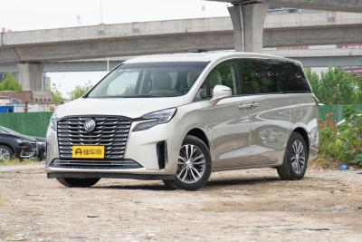 China 2023 Buick GL8 Business Class Land Comfort Version 2.0T 237HP 9-Speed MPV Gasoline Passenger Van for sale