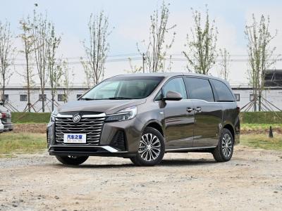 China 2023 Buick GL8 Business Class Land Dignity 7-Seat MPV Gasoline 2.0T 237HP 9-Speed for sale