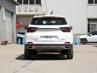 China Chery Tiggo5X Plus Kung Fu Panda Joint Edition 1.5L MT Gasoline SUV 116HP 2630mm Wheelbase for sale