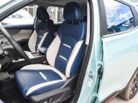 China Customized Request Chery Tiggo 5X 2022 Plus Kung Fu Panda 1.5t CVT Customization for sale