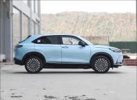 China 2022 E Ns1 E-Jing Version Car with Online/Local After-sales Service P0000004 for sale