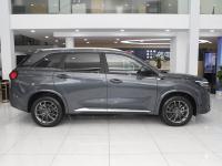 China 2024 Landian E5 PHEV SUV 100km Exclusive 5-Seat 165km/h Top Speed 17.52kWh for sale