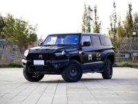 China Brave Warrior Black Electric SUV 4987mm 428PS with Electromagnetic Braking System for sale