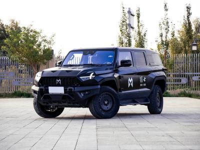 China Brave Warrior Black Electric SUV 4987mm 428PS with Electromagnetic Braking System for sale