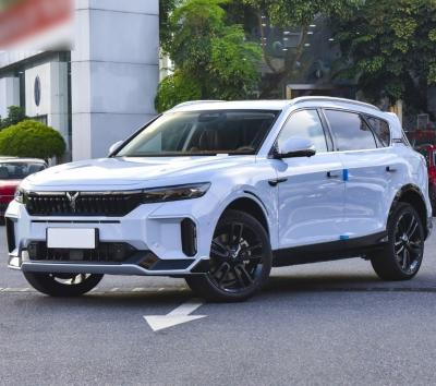 China Voyah Free 2024 Ultra-Long Range Electric SUV 4905x1950x1645 5-Seater for sale