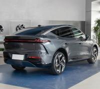 China 4 Ultrasonic Radars Car Rising Auto 2023 Performance Screen Master Version Electric Car for sale