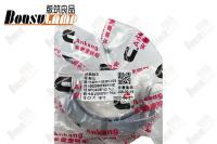 China Engine Main Bearing 1002080FE010XZ Bearing Shells For JAC N56 Truck Engine Parts With Oem 1002080FE010XZ for sale