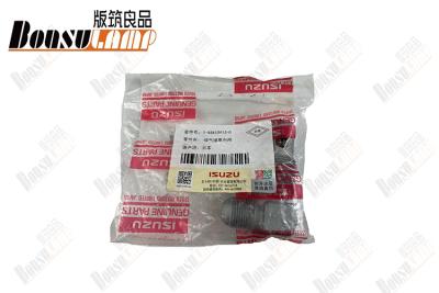 China 1-48410412-0 1484104120 Air Tank Check Valve Factory Direct for ISUZU FVR 6HK1 CXZ 10PE1 for sale