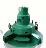 China 300 KW micro High Capacity Hydro Power Generator with Vertical Water Inlet for sale