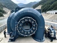 China Customizable Pure Copper Brushless Excitation Generator for Renewable Energy and Hydropower Stations for sale