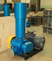 China Durable Water Treatment Parts Roots Blower Three Lobe / Two Lobe Design for sale