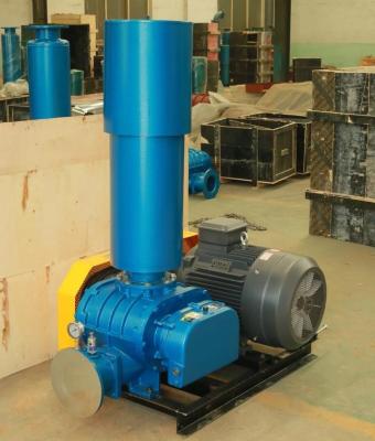 China Durable Water Treatment Parts Roots Blower Three Lobe / Two Lobe Design for sale