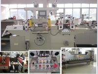 China Roll to Roll Self Adhesive Label Die Cutting Machine for sale