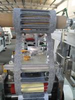 China Adhesive Label (Logo) Die Cutting Machine (DP-320) for sale
