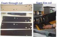 China Adhesive Foam Perforation Die Cutting Machine for Sheet Material for sale