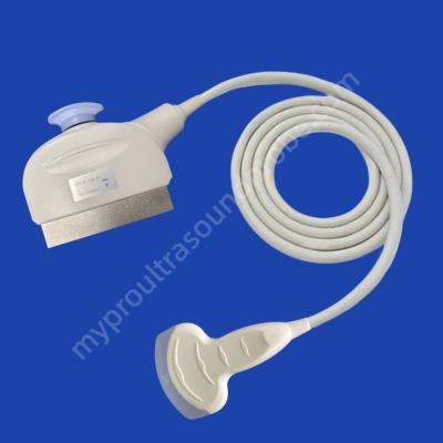 China Ultrasound Probe Repair GE 4C-D For Vivid E9 Voluson E6 Voluson E8 Voluson E10 for sale