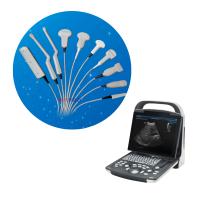 China Mindray DP-10 Ultrasound Machine Digital Ultrasonic Diagnostic Imaging System for sale