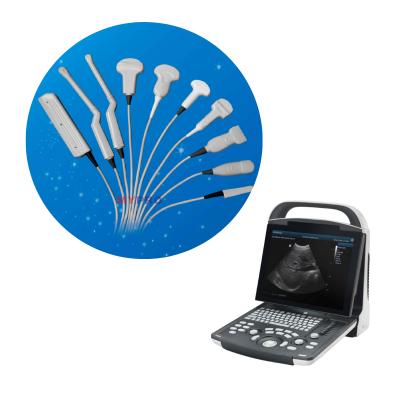 China Mindray DP-10 Ultrasound Machine Digital Ultrasonic Diagnostic Imaging System for sale