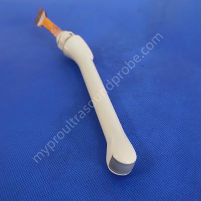 China GE E8Cs Transvaginal Ultrasound Transducer for Ob/Gyn and Urology Medical Imaging for sale