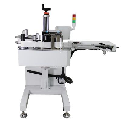 China Swing Tamp Carton Labeling Printer Applicator 300dpi 6-10ips Thermal Transfer for sale